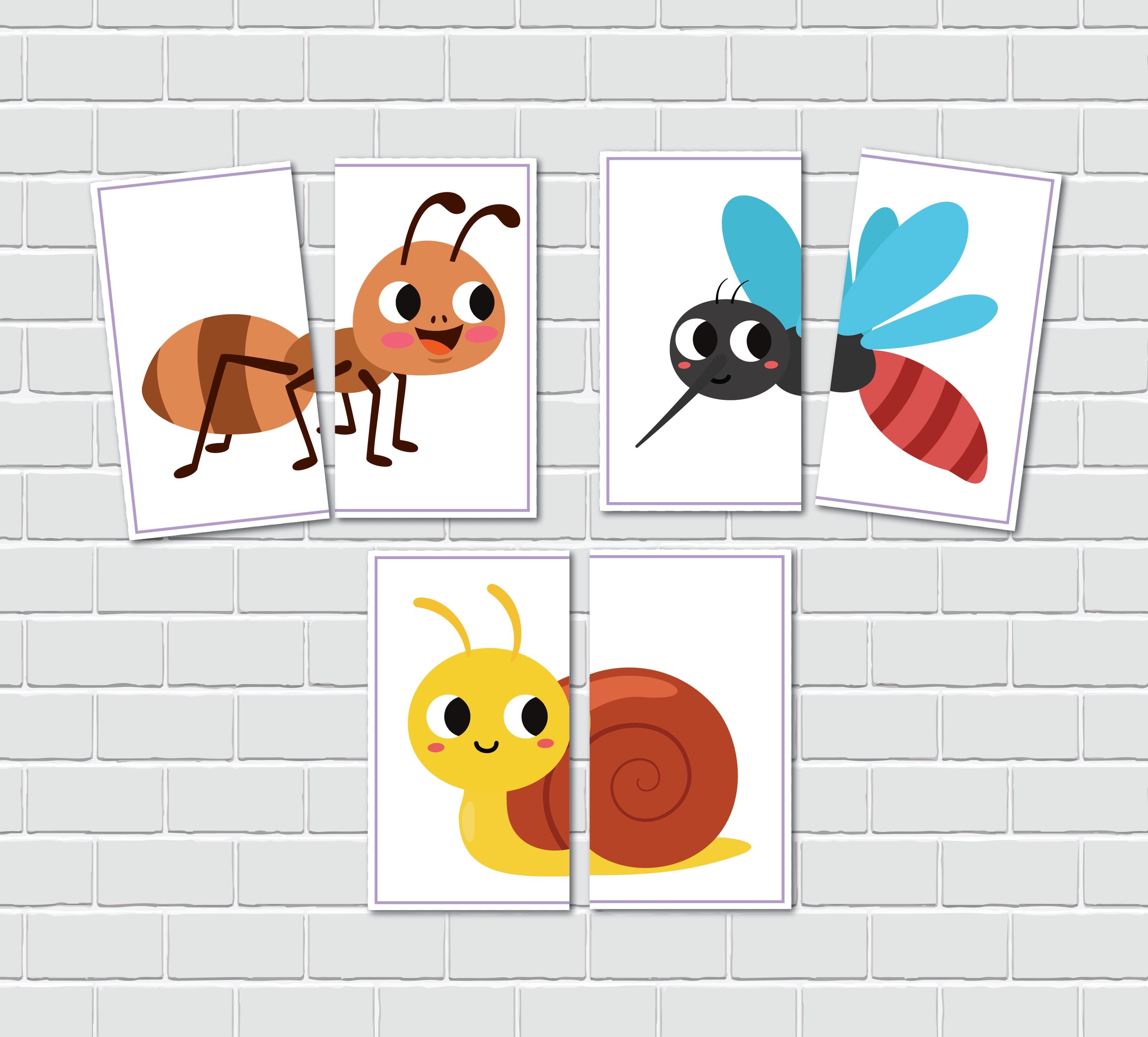 Bugs Matching Game, Symmetry Cards, Toddler Matching Activity ...