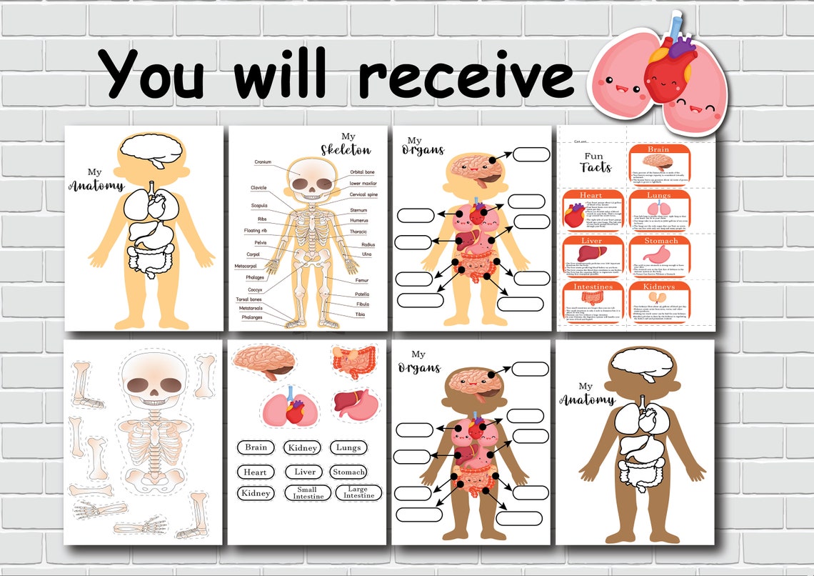 Human Anatomy Printable Activity. dark Skin Tone Science - Etsy