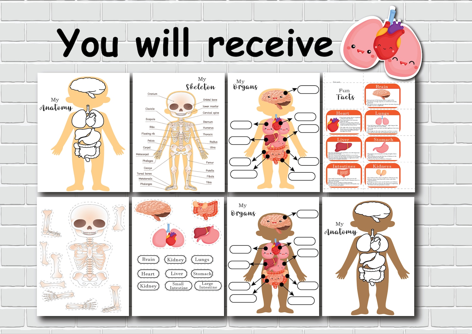 Human Anatomy Printable Activity. dark Skin Tone Science - Etsy
