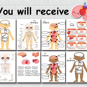 Human Anatomy Printable Activity. (dark Skin Tone) Science Anatomy ...