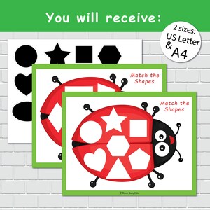 Ladybug Shapes Matching Activity, 2D Shapes, File Folder Games, Special ...