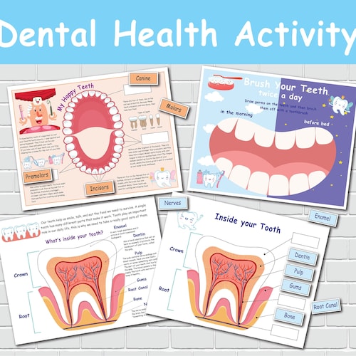 Dental Health Preschool Printable Activity Kids Anatomy - Etsy