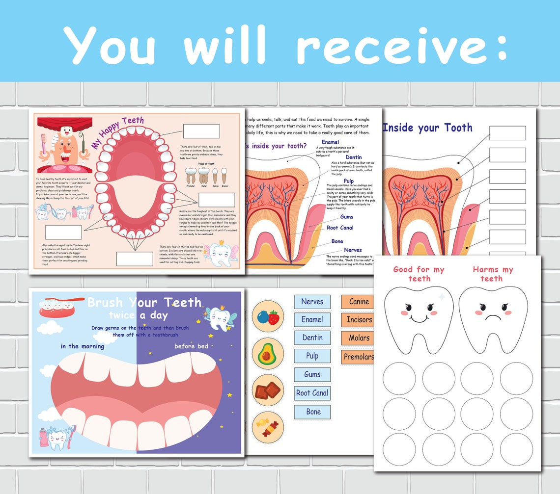 Dental Health Preschool Printable Activity Kids Anatomy - Etsy