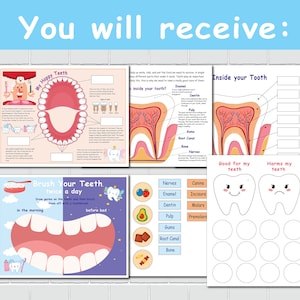 Dental Health Preschool Printable Activity Kids Anatomy Learning Binder ...