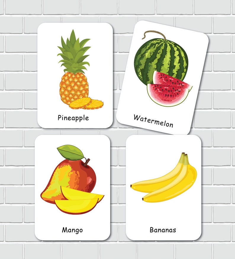 Fruits Three Part Cards Montessori Flashcards Homeschool - Etsy