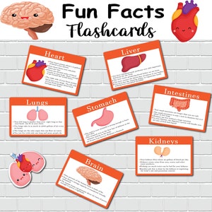 Human Anatomy Printable Activity. (dark Skin Tone) Science Anatomy ...