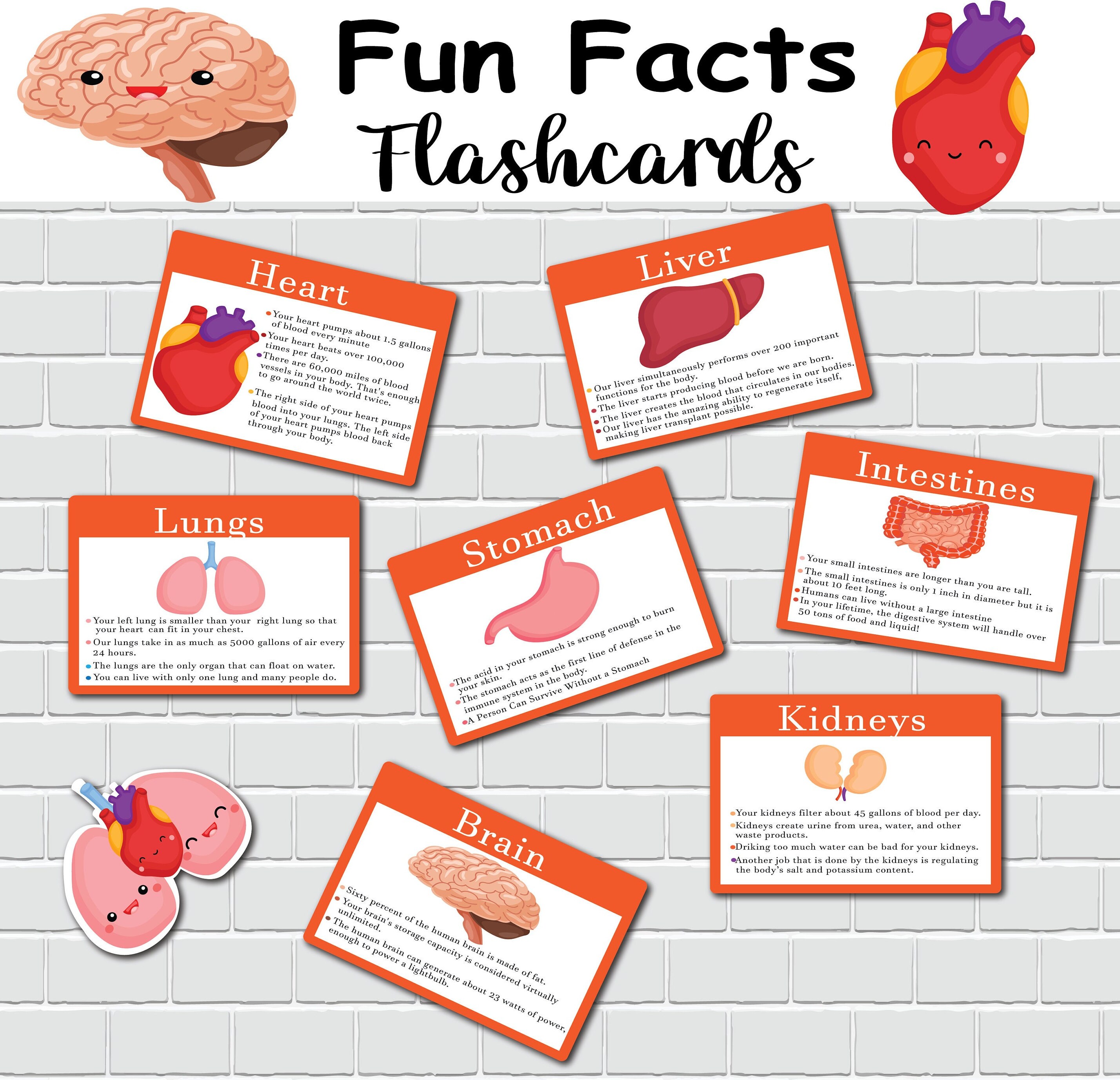 Human Anatomy Printable Activity. dark Skin Tone Science - Etsy