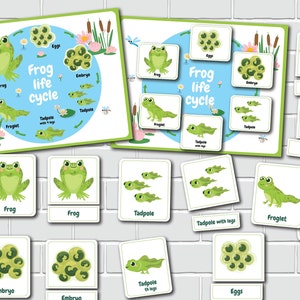 Life Cycle of a Frog, Frog Anatomy, 3 Part Montessori Cards, Nature ...