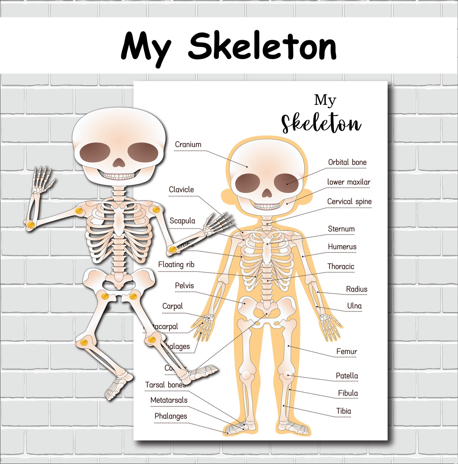 Human Anatomy Printable Activity. dark Skin Tone Science - Etsy
