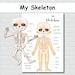 Human Anatomy Printable Activity. (dark Skin Tone) Science Anatomy ...