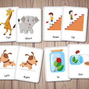 Opposites Matching Flashcards, Printable Activity, Pairing Cards ...