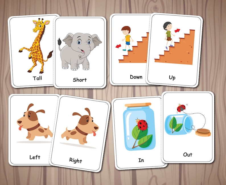 Opposites Matching Flashcards Printable Activity Pairing - Etsy