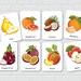 Fruits Three Part Cards Montessori Flashcards Homeschool - Etsy
