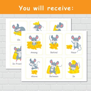 Prepositions Flashcards, English Positional Words, Printable Activity ...