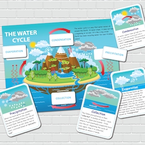 Water Cycle Printable Activity Kids Nature Study Kindergarten File ...