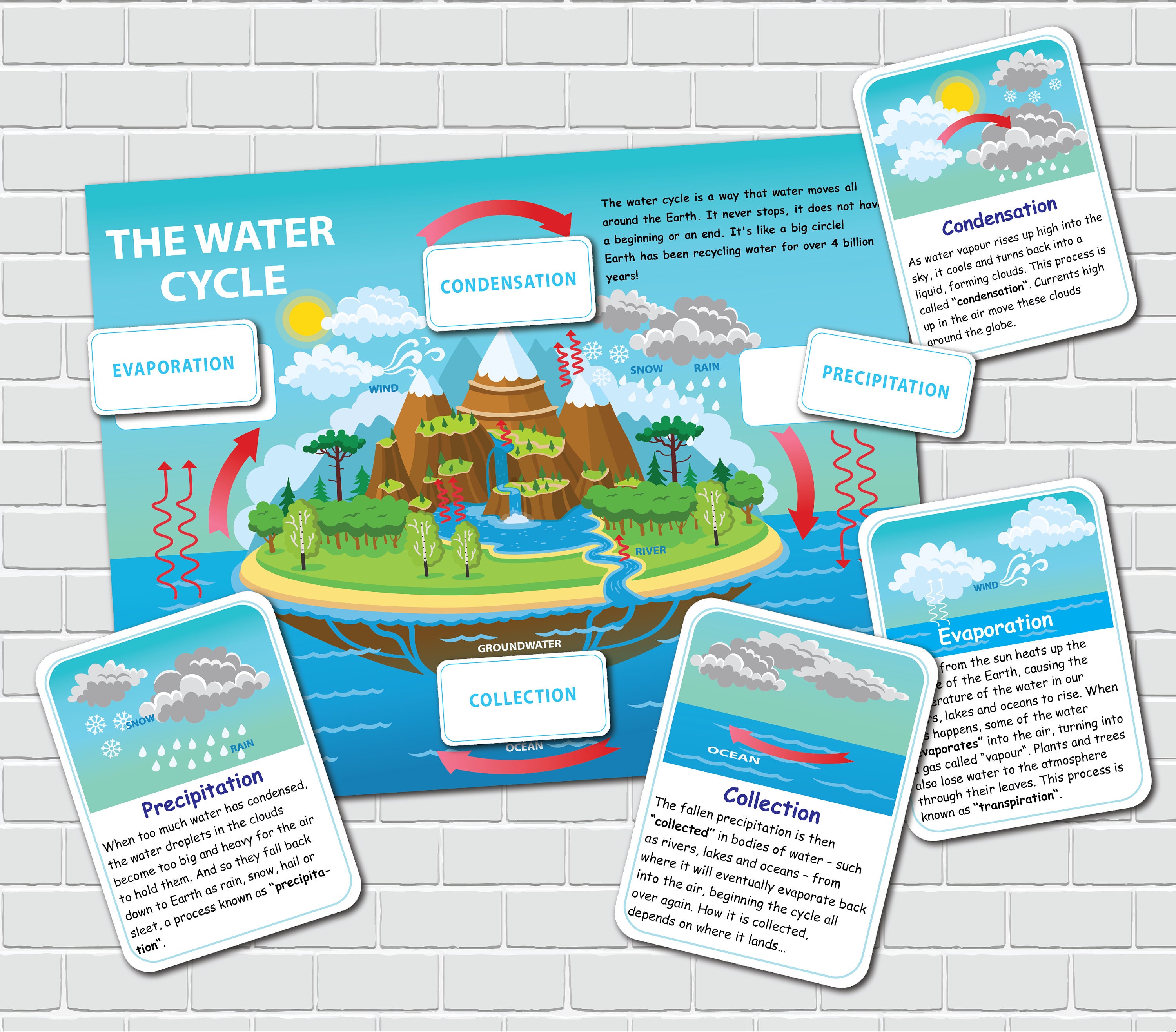 Water Cycle Printable Activity Kids Nature Study Kindergarten File ...