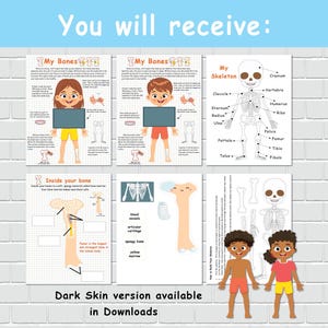 Human Skeleton Anatomy Activity, Printable Skeletal System, Bone ...