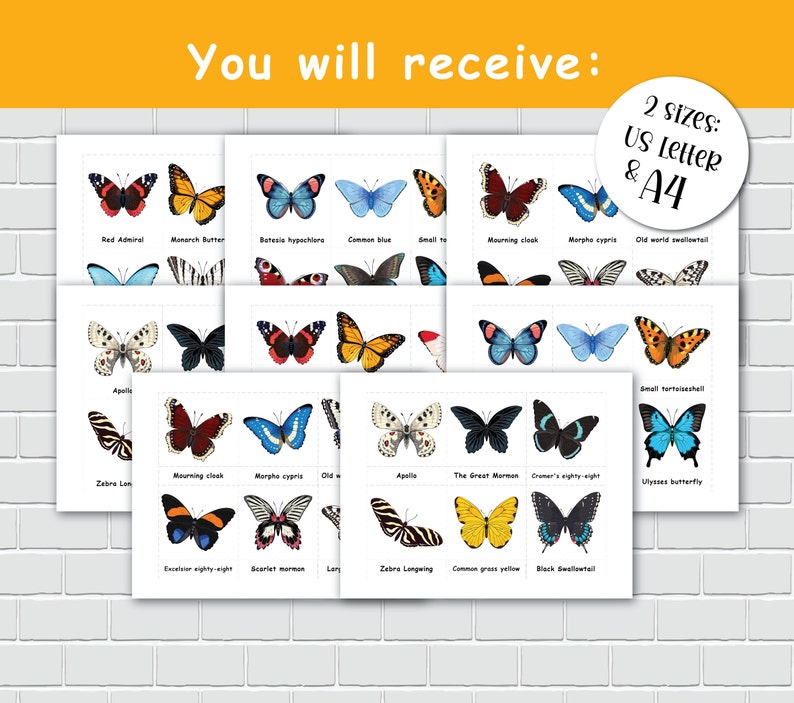 Butterfly Flash Cards, Montessori Three Part Cards, Homeschool ...