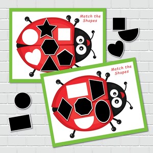 Ladybug Shapes Matching Activity, 2D Shapes, File Folder Games, Special ...
