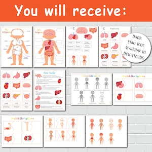 Body Systems Activity Human Anatomy Worksheets Preschool Busy Book ...