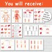Body Systems Activity Human Anatomy Worksheets Preschool Busy Book ...