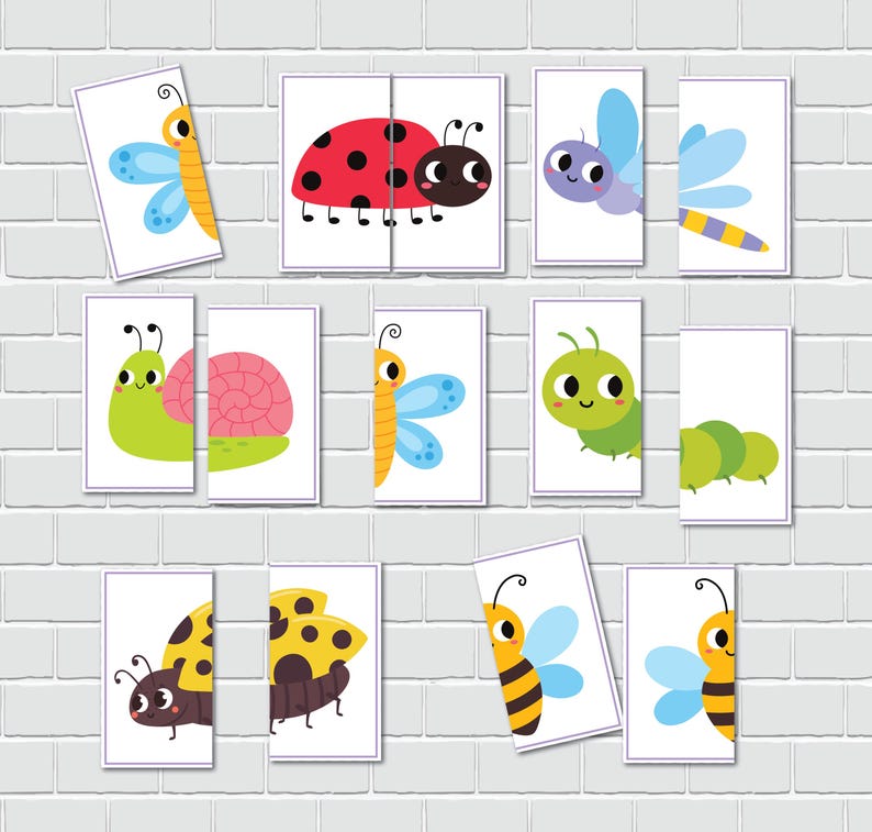 Bugs Matching Game, Symmetry Cards, Toddler Matching Activity ...