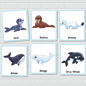 Arctic Animals Flashcards, Printable Cards for Kids, Preschool ...