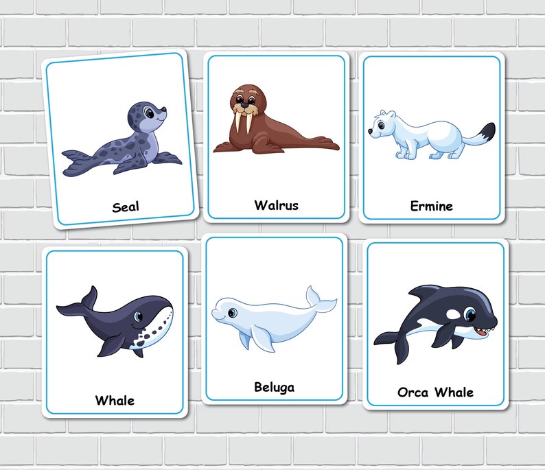 Arctic Animals Flashcards, Printable Cards for Kids, Preschool ...