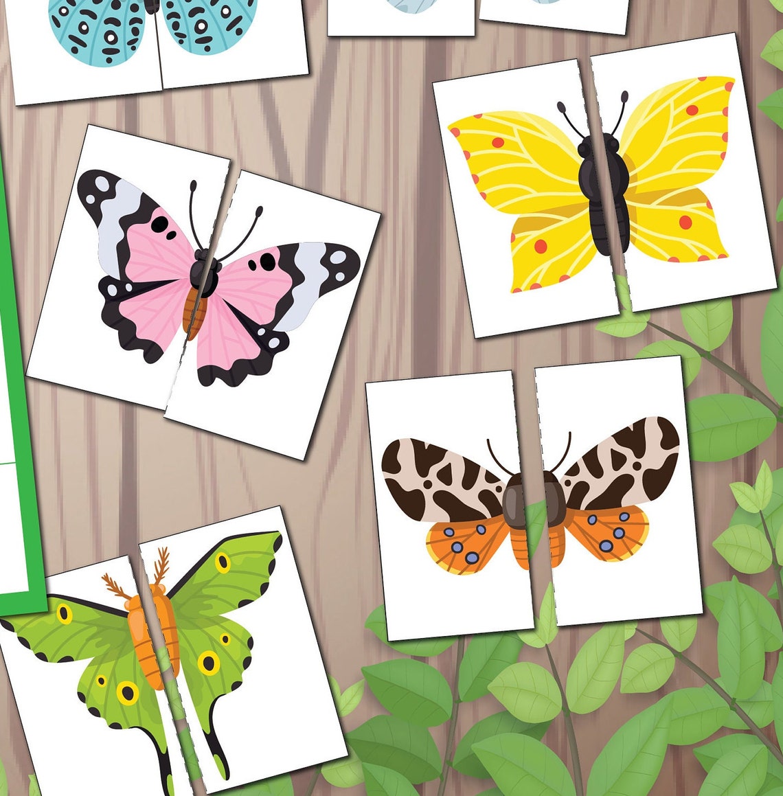 Cartes de symétrie papillon, activité d'espionnage, printemps ...