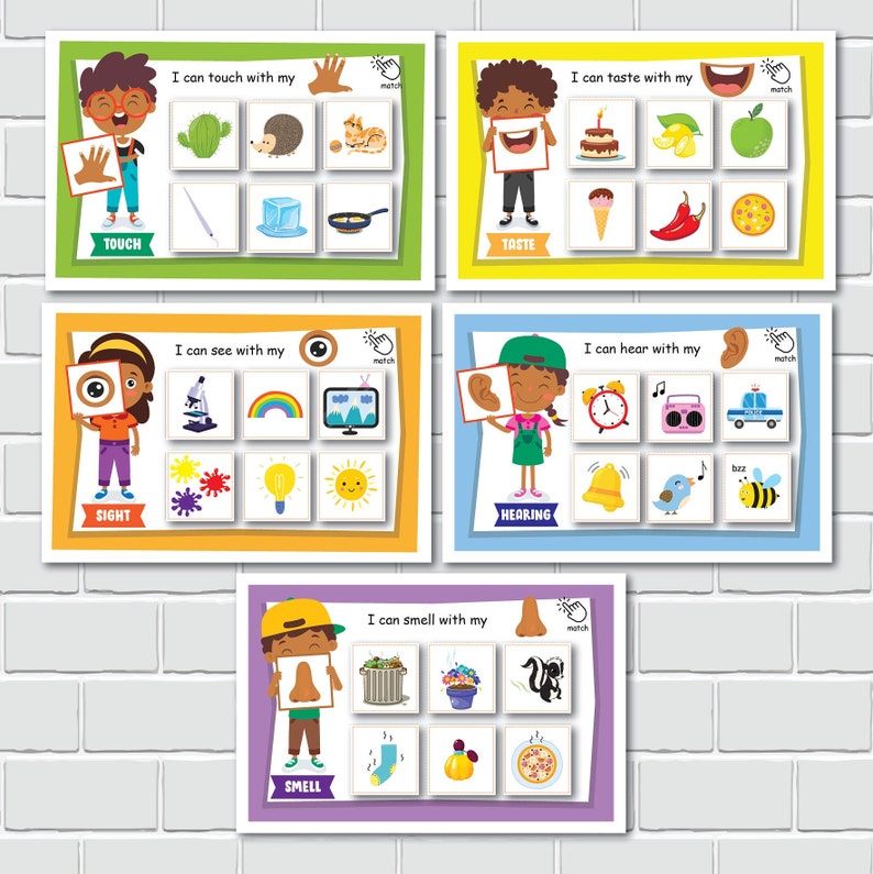 Five Senses Sorting Mats Printable Activity 5 Senses - Etsy Australia