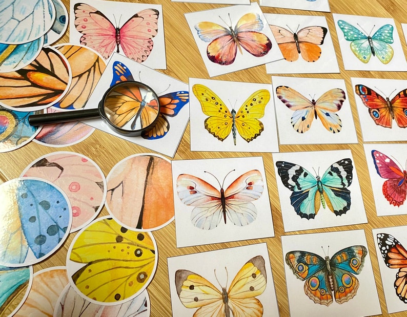 Butterfly Pattern Matching Cards Montessori Materials - Etsy