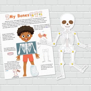 Human Skeleton Anatomy Activity, Printable Skeletal System, Bone ...
