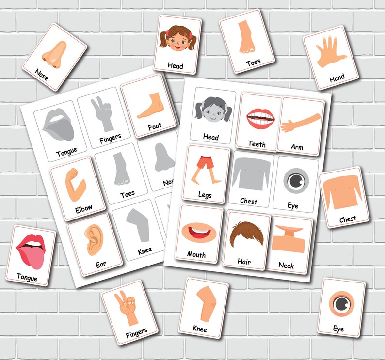 Body Parts Printable Activities Anatomy Busy Book Pages - Etsy