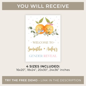Little Cutie Gender Reveal Welcome Sign, Guess the Gender Banner, He or ...