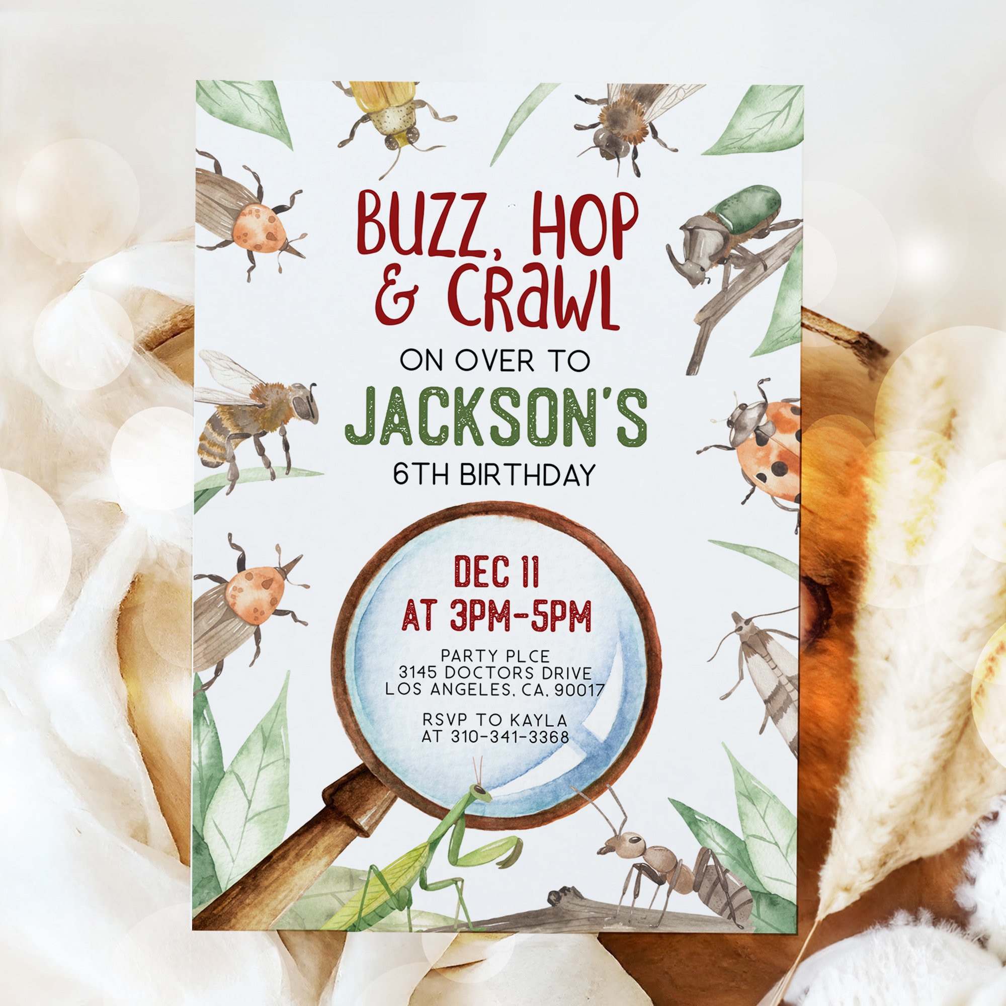 Bug Birthday Party Invitation