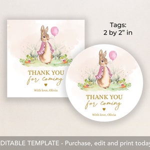 Peter Rabbit Thank You for Coming Gift Tag, EDITABLE Flopsy Bunny Party ...