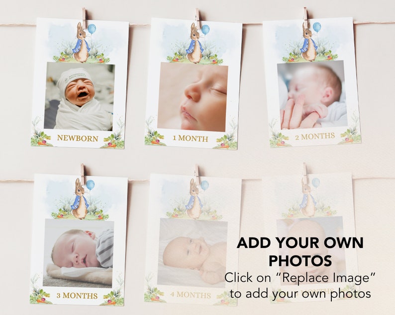 Peter Rabbit Birthday Photo Banner Template Editable Baby Boy - Etsy