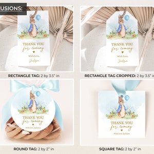 Peter Rabbit First Birthday Party Bundle, EDITABLE Flopsy Bunny Party ...