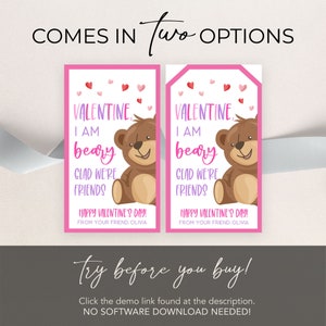 EDITABLE I'm Beary Glad We're Friends Valentines Day Tag, Teddy Bear ...