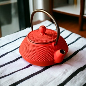 Japanese Tea Set and Cups, Cast Iron Teakettle Set With Infuser ...