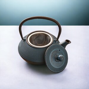 Japanese Tea Set and Cups, Cast Iron Teakettle Set With Infuser ...