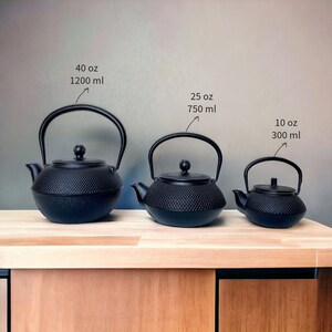 Japanese Tea Set and Cups, Cast Iron Teakettle Set With Infuser ...