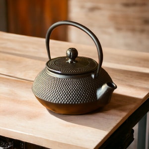 Japanese Tea Set and Cups, Cast Iron Teakettle Set With Infuser ...