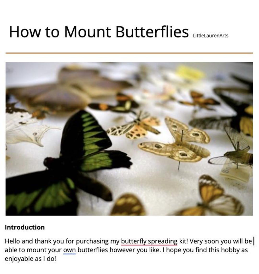 How to Pin and Mount Butterflies - Instruction Manual Only! Insect ...