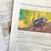 Complete Beetle Mounting Kit Beetle Spreading and Pinning Kit specimen ...