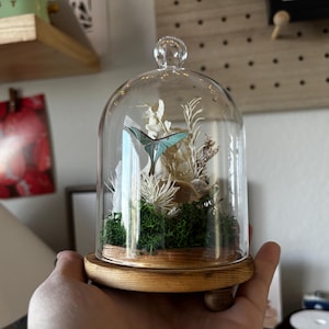 Minature Moth Terrarium, Real Flowers, Entomology Terrarium, Unique ...