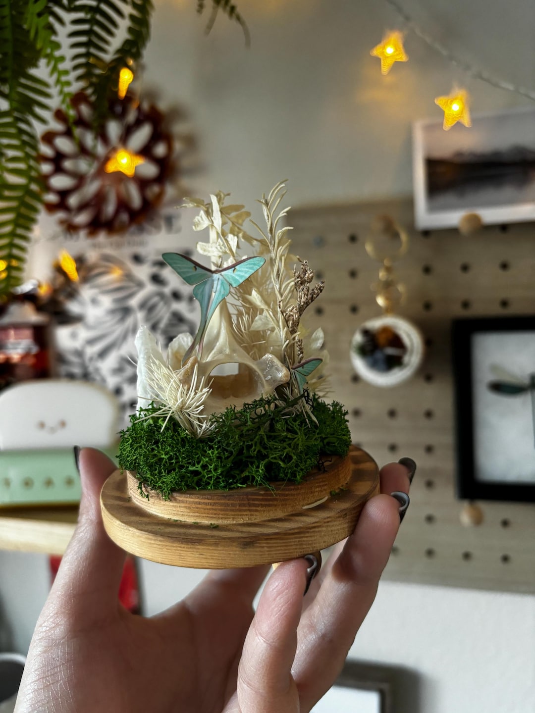 Minature Moth Terrarium, Real Flowers, Entomology Terrarium, Unique ...