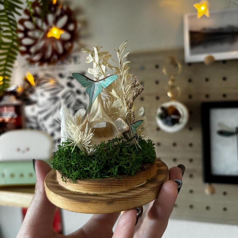 littlelaurenarts - Etsy