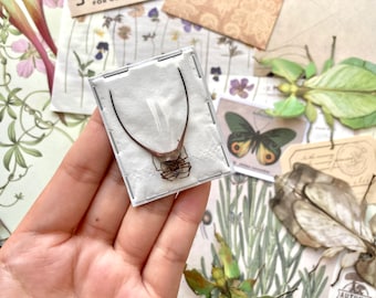 REAL Orb Weaver Teardrop Spider on Real Preserved Spider Web - Etsy