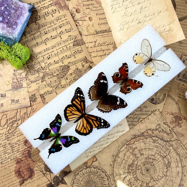 Pin Board - Etsy